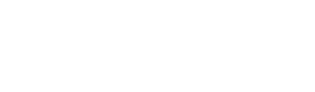 Consultative Brand Protection Service Offerings - Scout