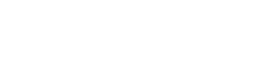 Consultative Brand Protection Service Offerings - Scout